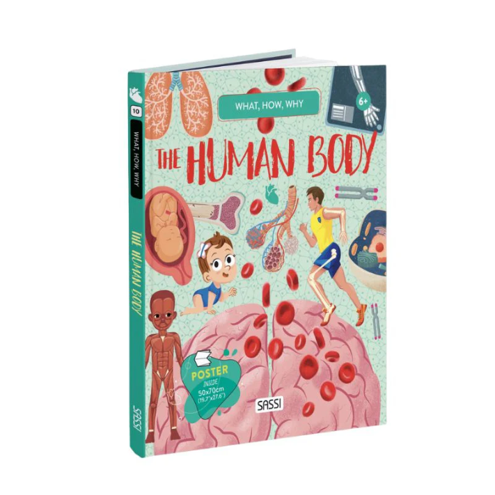 What, How and Why Book and Poster - The Human Body