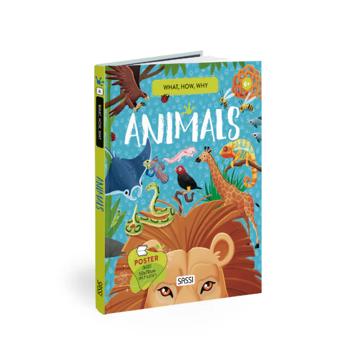 What, How and Why Book and Poster - Animals