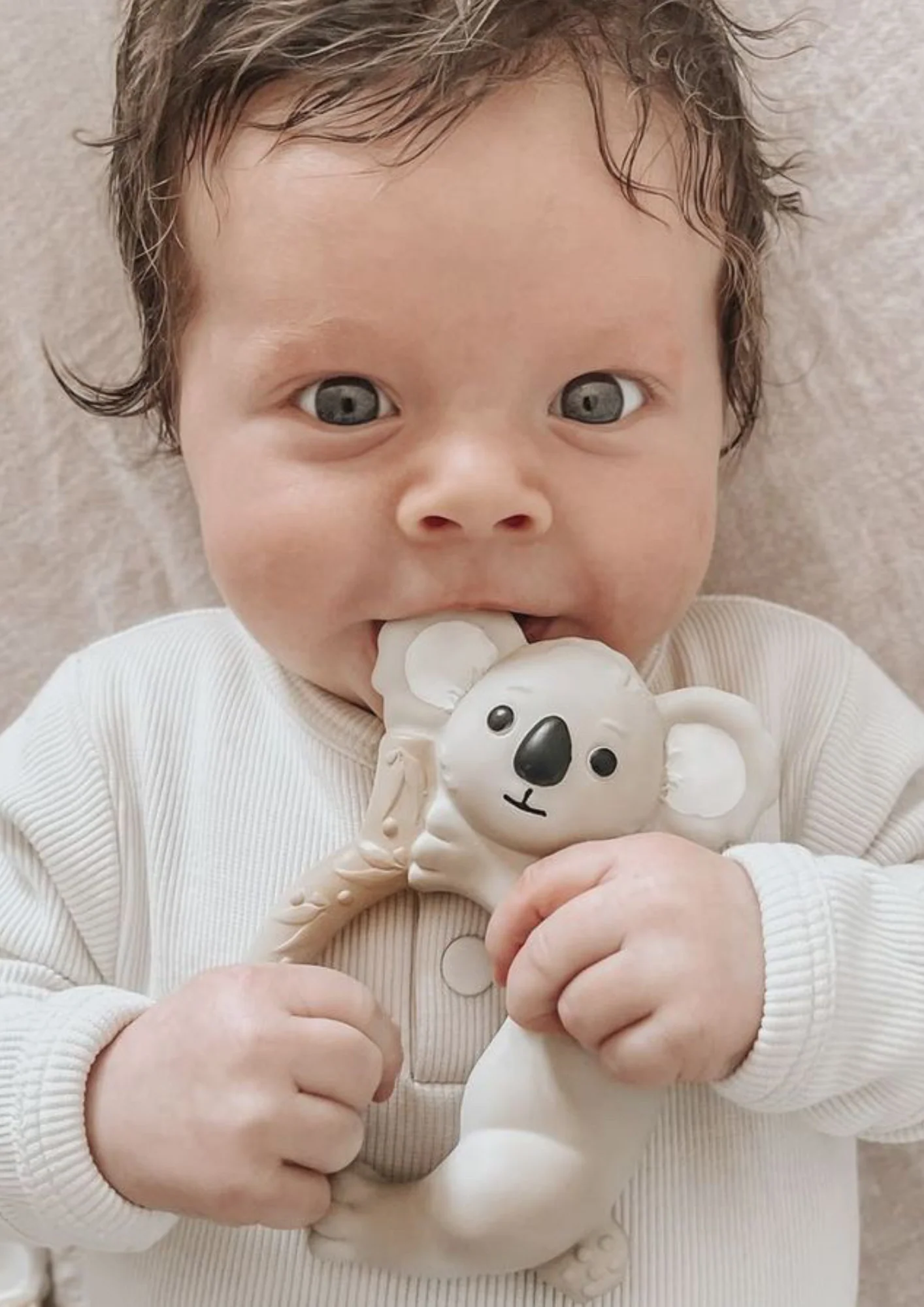 Natural Rubber Teething Ring - Banks the Koala