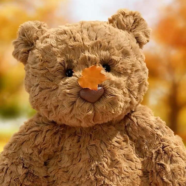 Jellycat