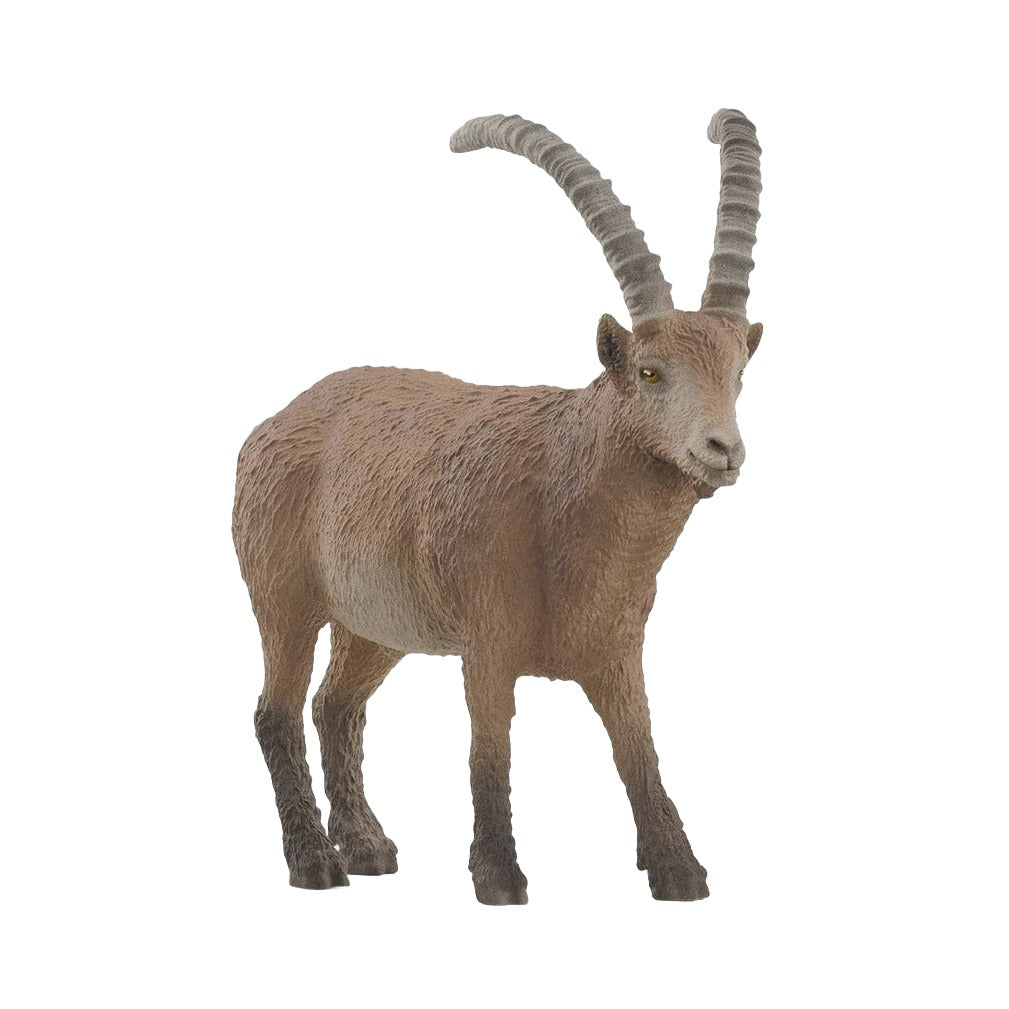Ibex – Toys and Tales