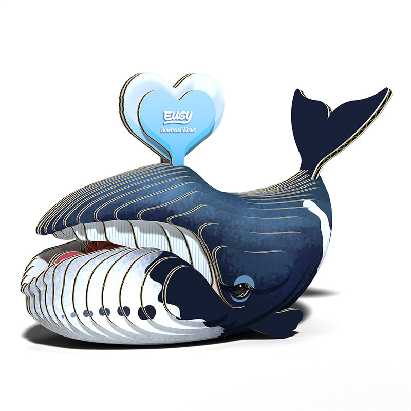 3D Cardboard Model Kit - Bowhead Whale – Toys and Tales