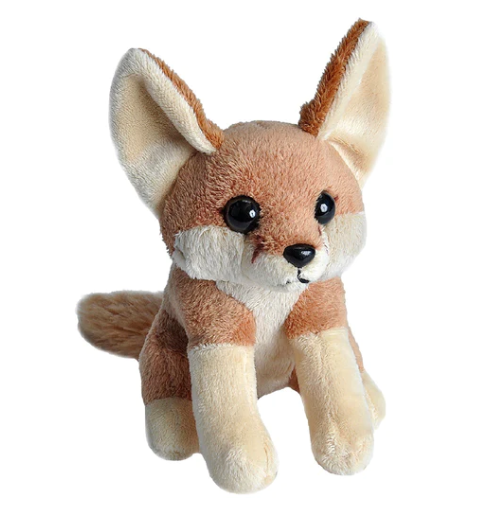 Pocket Kins - Fennec Fox – Toys and Tales